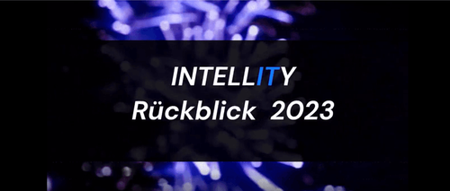 Our year 2023 at Intellity - a brief review